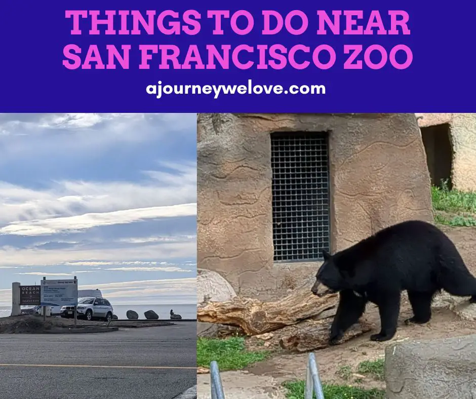 4 Things to Do Near San Francisco Zoo (A Guide) — A Journey We Love