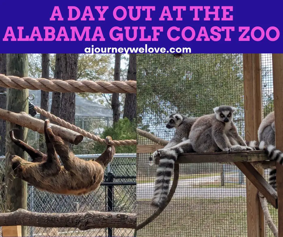 A Day Out at the Alabama Gulf Coast Zoo — A Journey We Love